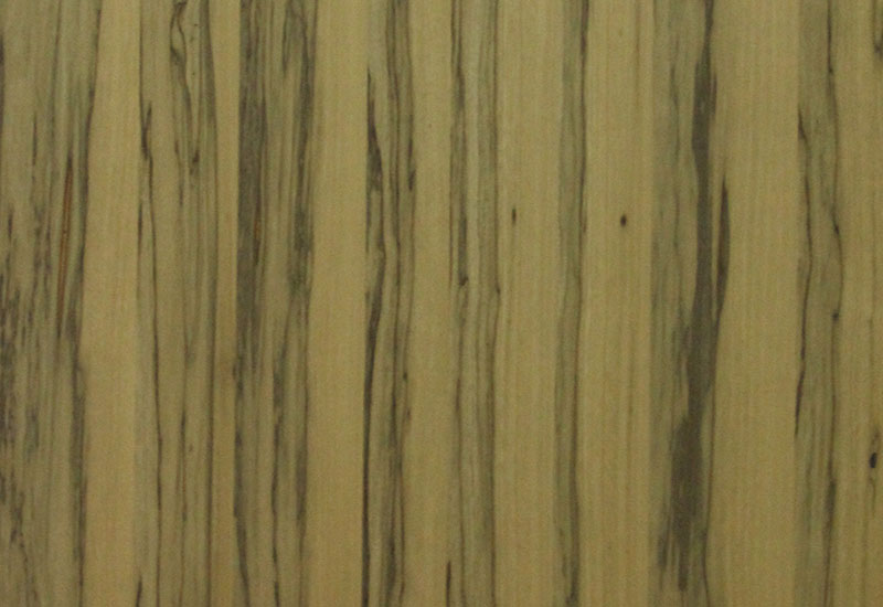 Find Silver Wood Natural Wood Veneer in India - Mikasa Decowood Veneers