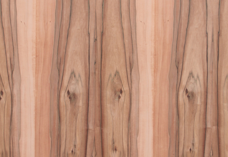 Find Smoked Tineo Natural Wood Veneer in India - Mikasa Decowood Veneers